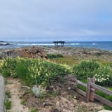 Asilomar State Beach and Coast Trail, California - 913 Reviews, Map ...