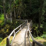 Silver Falls Loop, Washington - 3,513 Reviews, Map | AllTrails