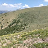 Mount Flora Trail, Colorado - 4,335 Reviews, Map | AllTrails