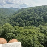 Whitaker Point Trail (Hawksbill Crag), Arkansas - 3,953 Reviews, Map ...