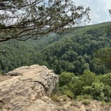 Whitaker Point Trail (Hawksbill Crag), Arkansas - 3,953 Reviews, Map ...