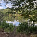 Jones Bridge Trail , Georgia - 3,157 Reviews, Map | AllTrails