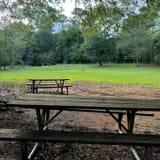 Jones Bridge Trail , Georgia - 3,157 Reviews, Map | AllTrails