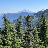 Iron Mountain Trail, Oregon - 595 Reviews, Map | AllTrails