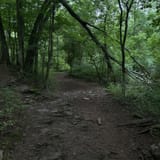 Skippack Creek Loop Trail, Pennsylvania - 4,014 Reviews, Map | AllTrails