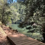 Cataract Falls Trail, California - 3,982 Reviews, Map | AllTrails