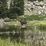 Elk Park Train Stop to Needleton, Colorado - 67 Reviews, Map | AllTrails