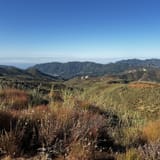 Trippet Ranch to Eagle Springs Loop Trail, California - 842 Reviews ...