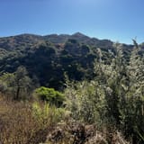 Trippet Ranch to Eagle Springs Loop Trail, California - 822 Reviews ...