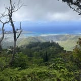 Kuliʻouʻou Ridge Trail, Oahu, Hawaii - 8,802 Reviews, Map | AllTrails
