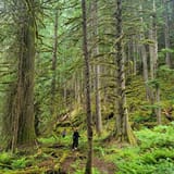 Chilliwack River Trail, British Columbia, Canada - 37 Reviews, Map ...