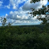 Old Pale Hill and Delamere Forest, Cheshire, England - 1,041 Reviews ...