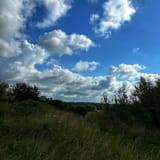 Old Pale Hill and Delamere Forest, Cheshire, England - 1,039 Reviews ...