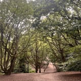 Hampstead Heath Circular, London, England - 1,161 Reviews, Map | AllTrails
