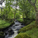 Arthog Waterfalls Circular, Gwynedd, Wales - 23 Reviews, Map | AllTrails