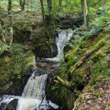 Arthog Waterfalls Circular, Gwynedd, Wales - 23 Reviews, Map | AllTrails
