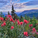 Mount Flora Trail, Colorado - 4,335 Reviews, Map | AllTrails