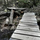 Scenic Trail Cut-off and Maiden Cliff Trail, Maine - 1,606 Reviews, Map ...