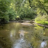 Aman Park Loop, Michigan - 1,677 Reviews, Map | AllTrails