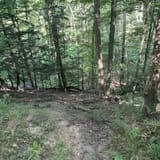 Aman Park Loop, Michigan - 1,677 Reviews, Map | AllTrails