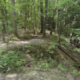 Aman Park Loop, Michigan - 1,677 Reviews, Map | AllTrails