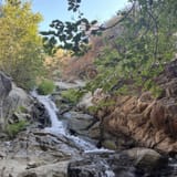Etiwanda Falls Trail, California - 6,321 Reviews, Map | AllTrails