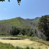 Red Lake Trail, Utah - 276 Reviews, Map | AllTrails