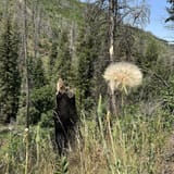Red Lake Trail, Utah - 276 Reviews, Map | AllTrails