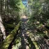 Little Jackson Mountain Trail, Maine - 296 Reviews, Map | AllTrails