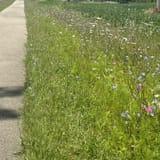 Tecumseh Trail Multi-Use Pathway, Ohio - 25 Reviews, Map | AllTrails