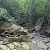 Bench Trail, Arkansas - 500 Reviews, Map | AllTrails