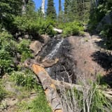 Blue Lake Trail, Idaho - 467 Reviews, Map | AllTrails