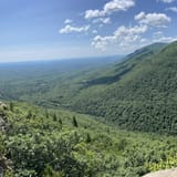 Huckleberry Point Trail, New York - 1,877 Reviews, Map | AllTrails
