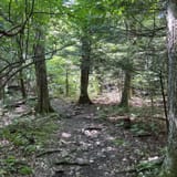 Huckleberry Point Trail, New York - 1,877 Reviews, Map | AllTrails