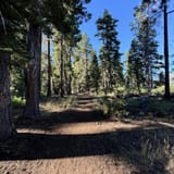 Fallen Leaf Lake Trail, California - 1,475 Reviews, Map | AllTrails