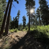 Fallen Leaf Lake Trail, California - 1,475 Reviews, Map | AllTrails
