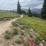 Mount Flora Trail, Colorado - 4,335 Reviews, Map | AllTrails