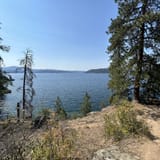 Tubbs Hill, Idaho - 4,626 Reviews, Map | AllTrails