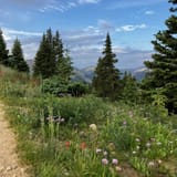 Mount Flora Trail, Colorado - 4,335 Reviews, Map | AllTrails