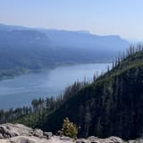 Angel's Rest, Oregon - 8,688 Reviews, Map | AllTrails
