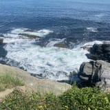 Cliff Walk, Rhode Island - 3,425 Reviews, Map | AllTrails