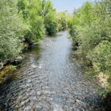 Fort Collins Poudre River Trail, Colorado - 823 Reviews, Map | AllTrails