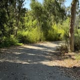 Inspiration Point Loop, California - 5,188 Reviews, Map | AllTrails