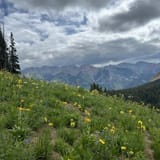 Washington Gulch Trail, Colorado - 405 Reviews, Map | AllTrails