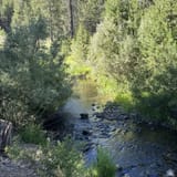 Sagehen Creek Loop, California - 1,097 Reviews, Map | AllTrails