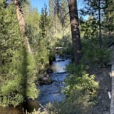 Sagehen Creek Loop, California - 1,097 Reviews, Map | AllTrails