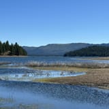 Sagehen Creek Loop, California - 1,097 Reviews, Map | AllTrails