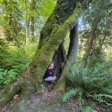 Seahurst Park Loop Trail, Washington - 897 Reviews, Map | AllTrails
