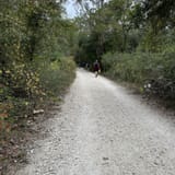 Pine Beach Trail, Alabama - 465 Reviews, Map | AllTrails