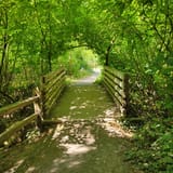 Tryon Creek Triple Bridge Loop, Oregon - 1,649 Reviews, Map | AllTrails